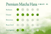 Premium Matcha from Hatoya Global